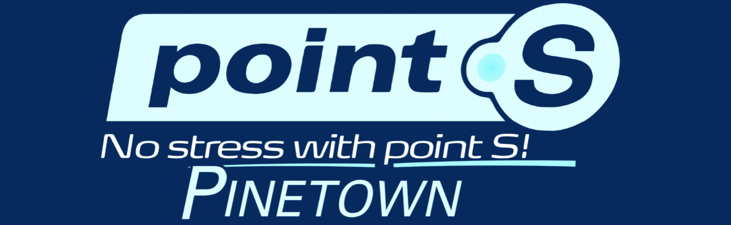 Home 1 - Point S Pinetown - Tyre Shop & Car Service Centre